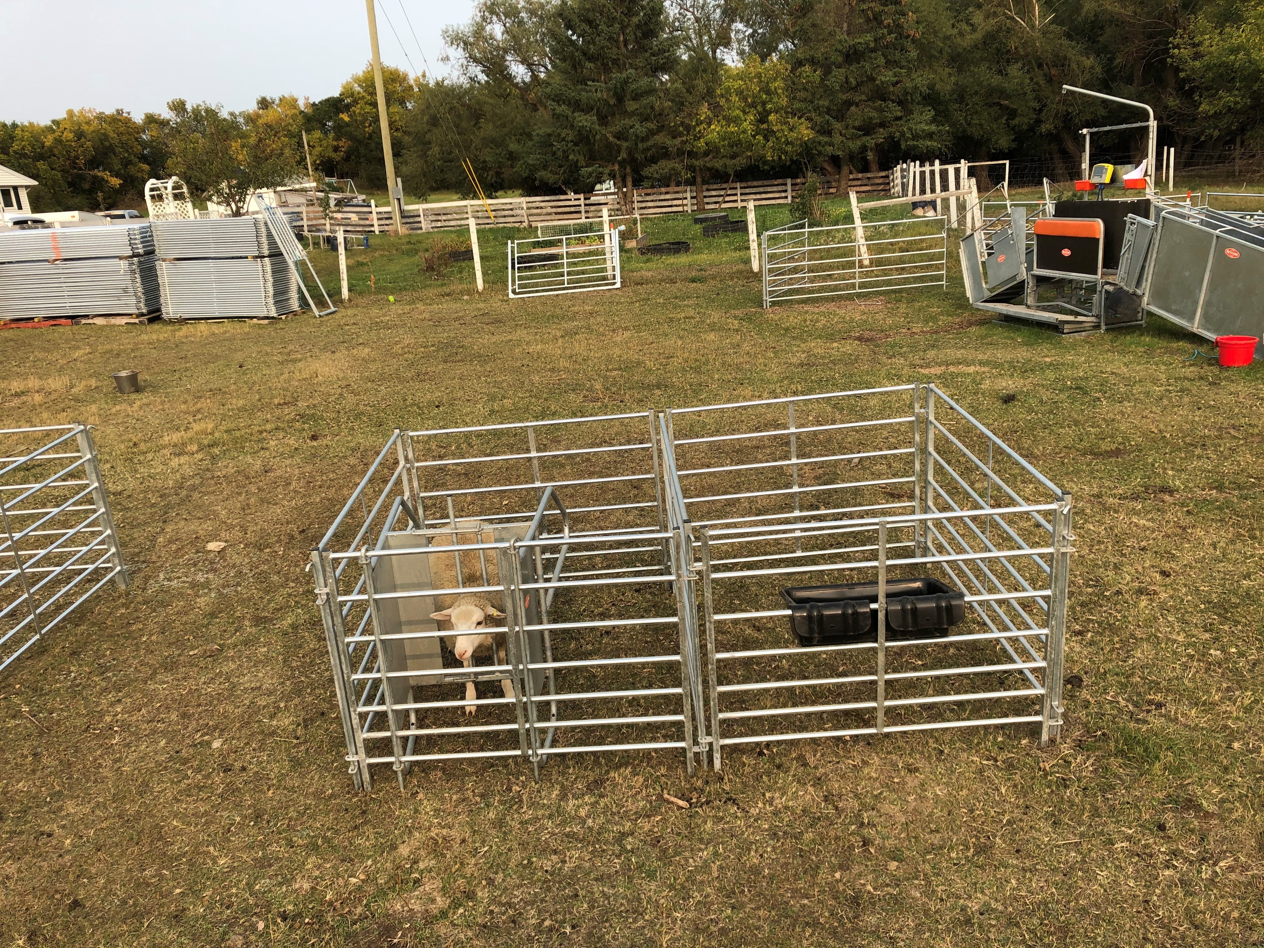 Ritchie Economy Lambing Jug Panels and Lamb Adopter — Huber Ag ...