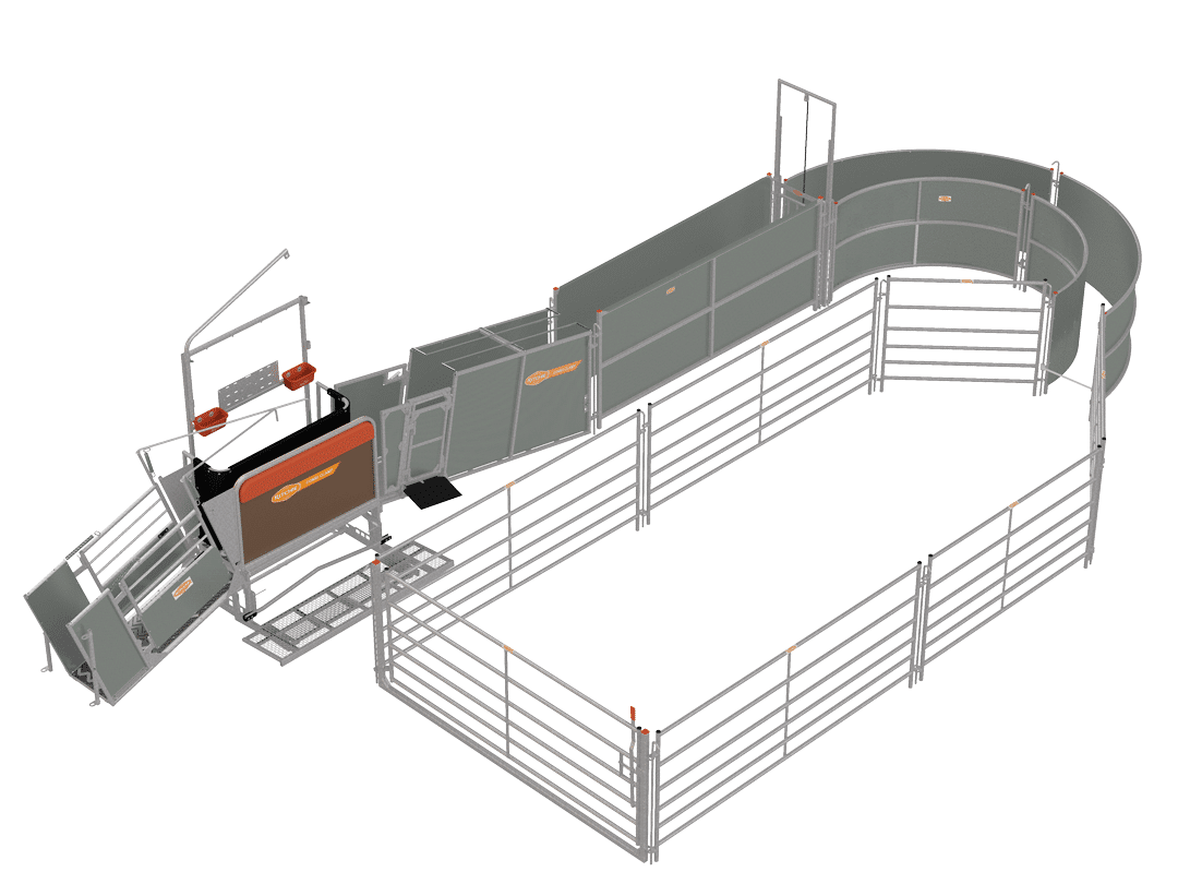 Combi Clamp Sheep System with curved panel sets — Huber Ag Equipment LTD