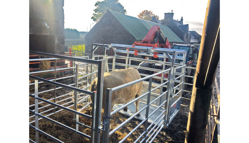 Cattle Handling Products — Huber Ag Equipment LTD